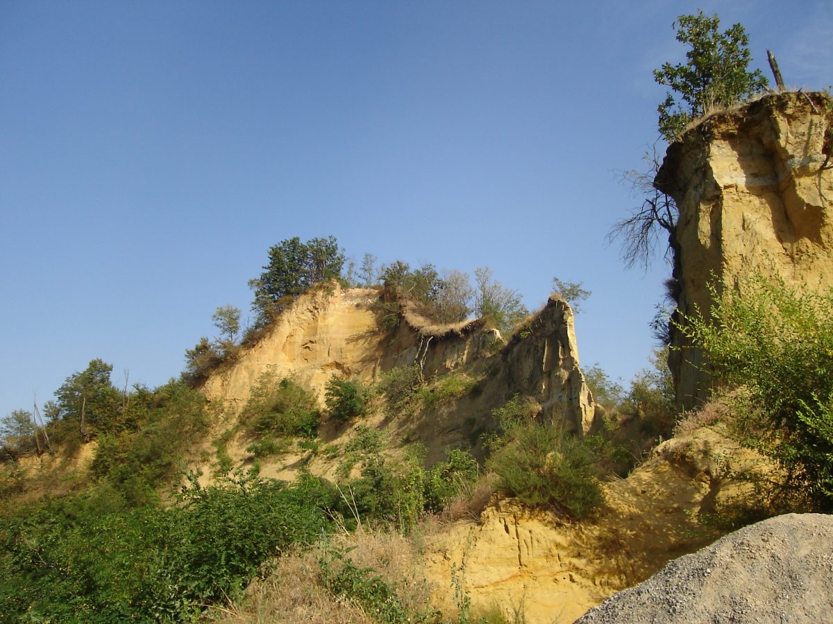 The Roero region - Monchiero Carbone