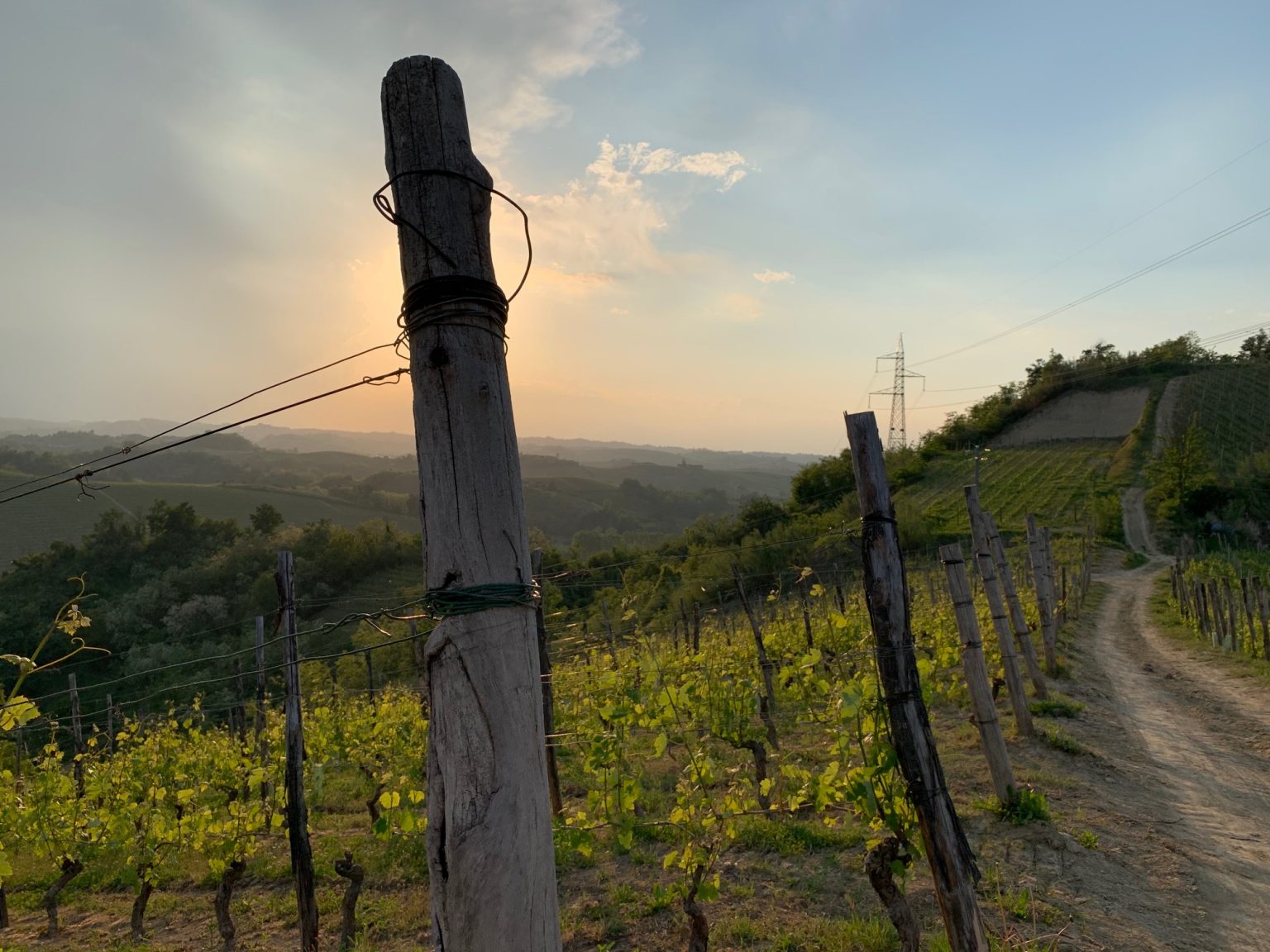 The Roero region - Monchiero Carbone