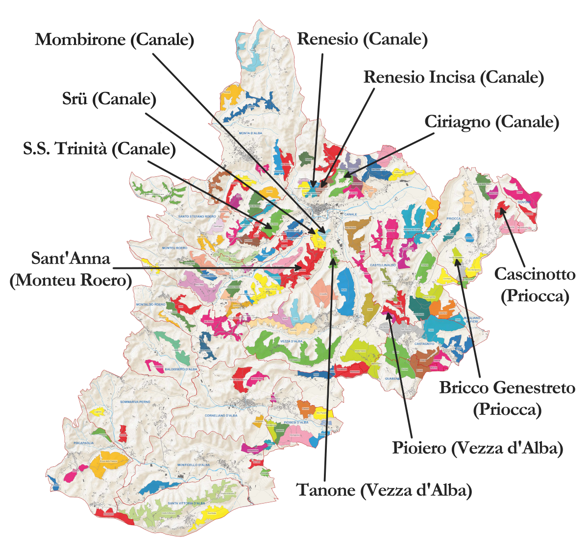 Vineyards – Monchiero Carbone